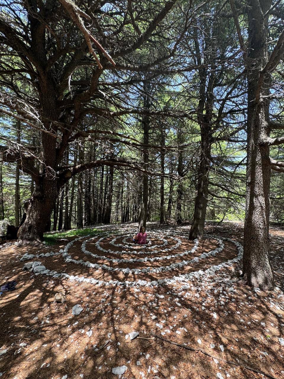 ACADEMY - Harmonic Circle Academy